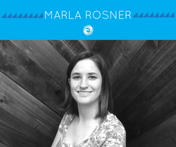 Renovatio Team Member Spotlight: Marla Rosner